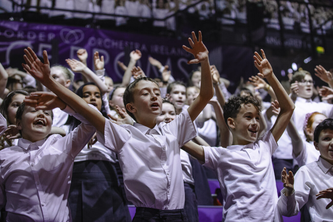 Cross Border Orchestra of Ireland | Peace Proms
