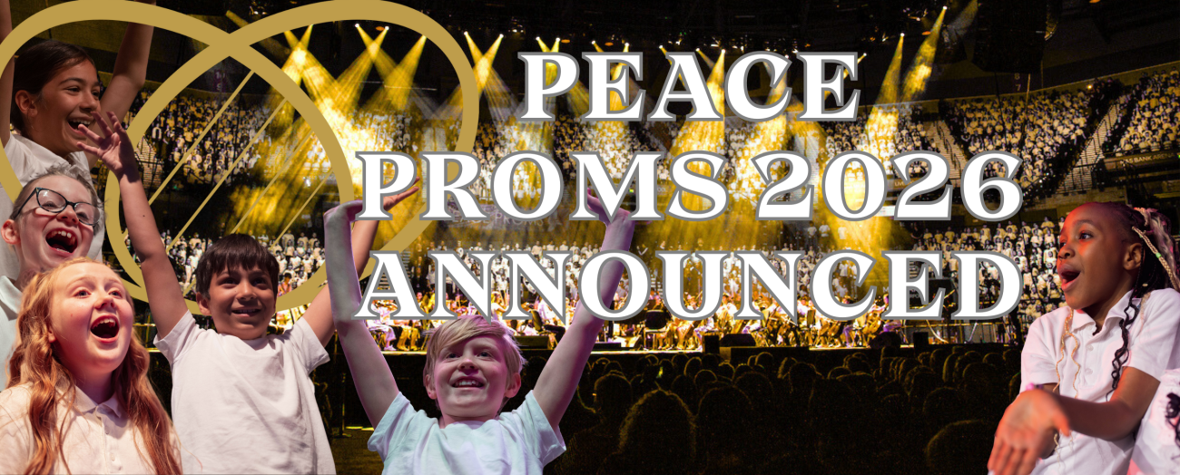 Cross Border Orchestra of Ireland | Peace Proms – Promoting peace ...
