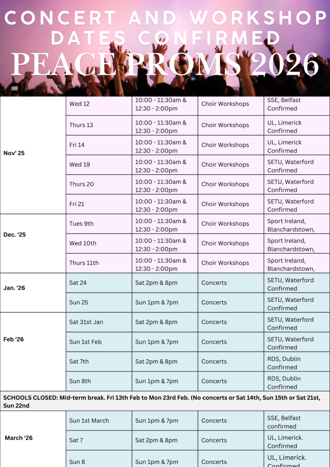 Cross Border Orchestra of Ireland | Peace Proms – Promoting peace ...